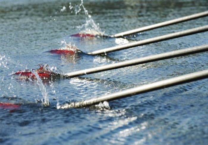 Teamwork Rowing